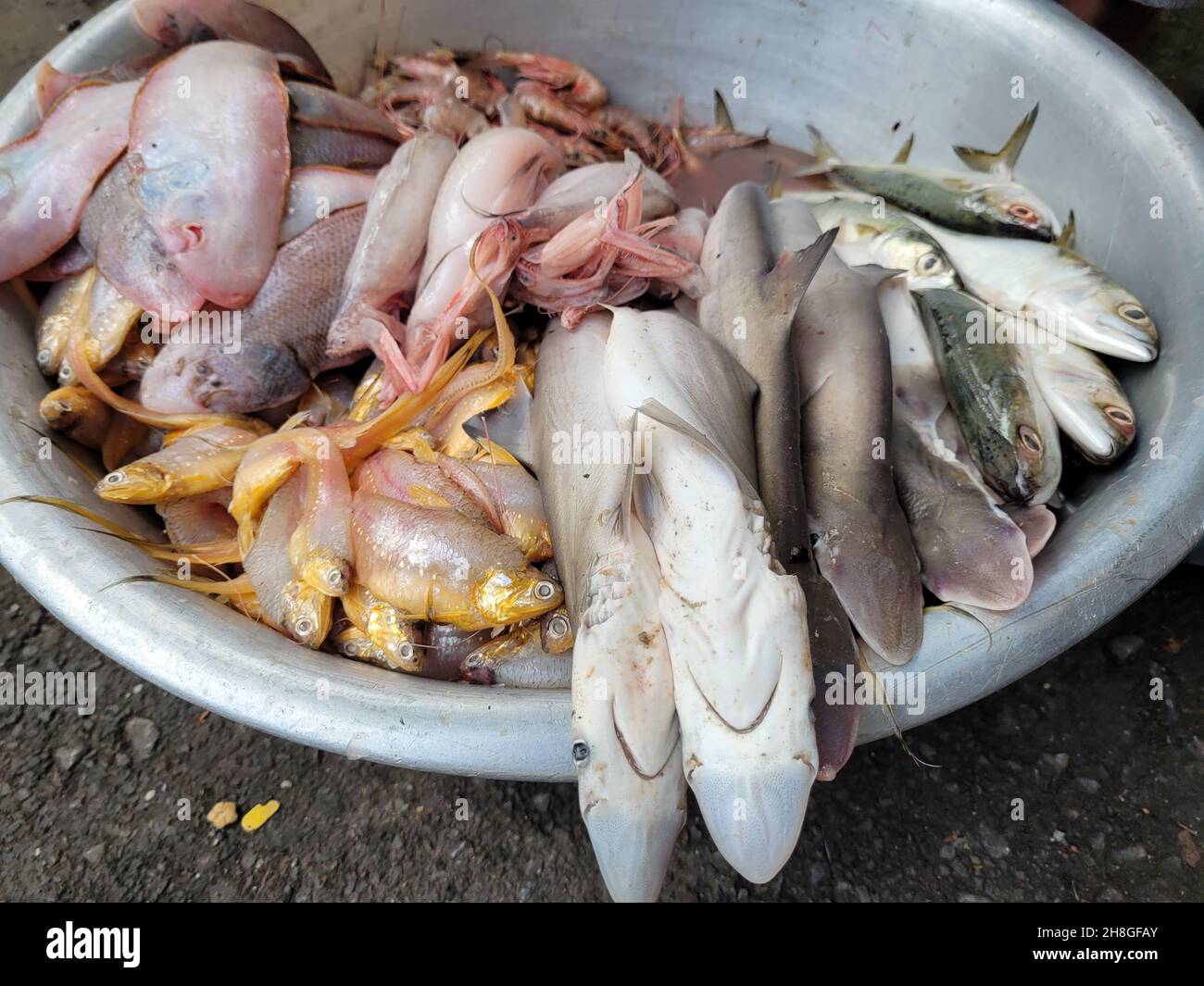 A closeup fresh fish, seafood background food Stock Photo - Alamy
