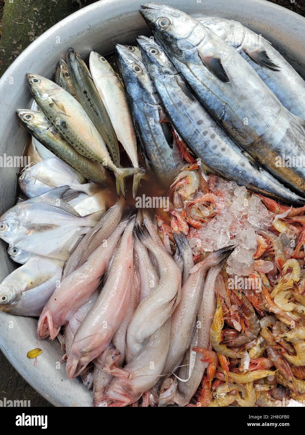 A closeup fresh fish, seafood background food Stock Photo - Alamy