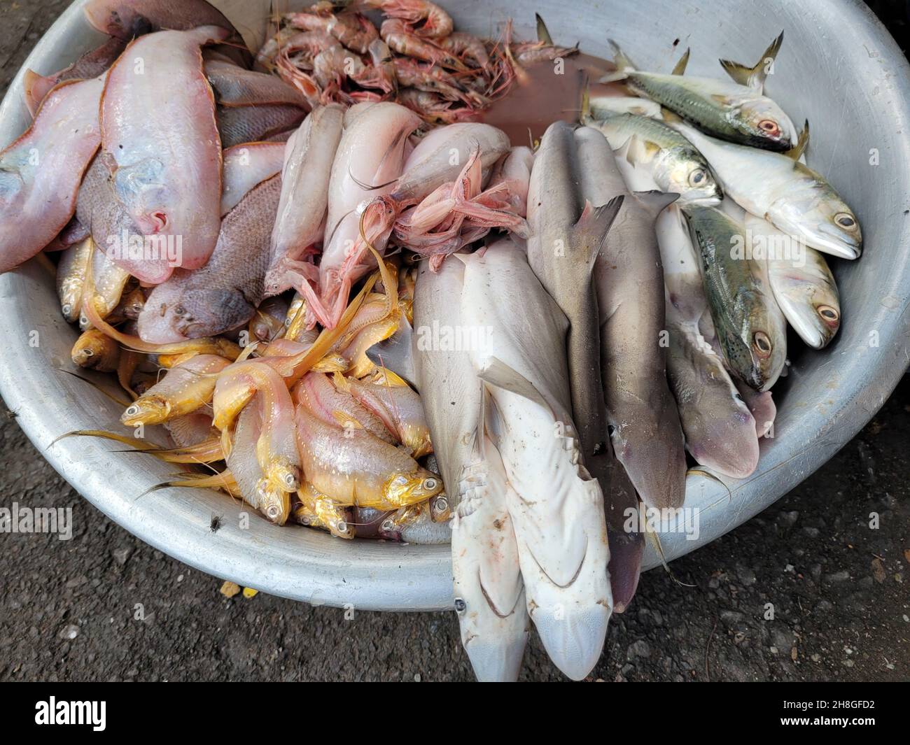 A closeup fresh fish, seafood background food Stock Photo - Alamy