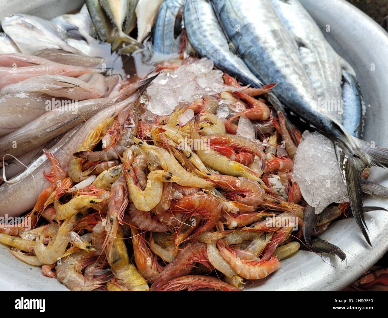 A closeup fresh fish, seafood background food Stock Photo - Alamy