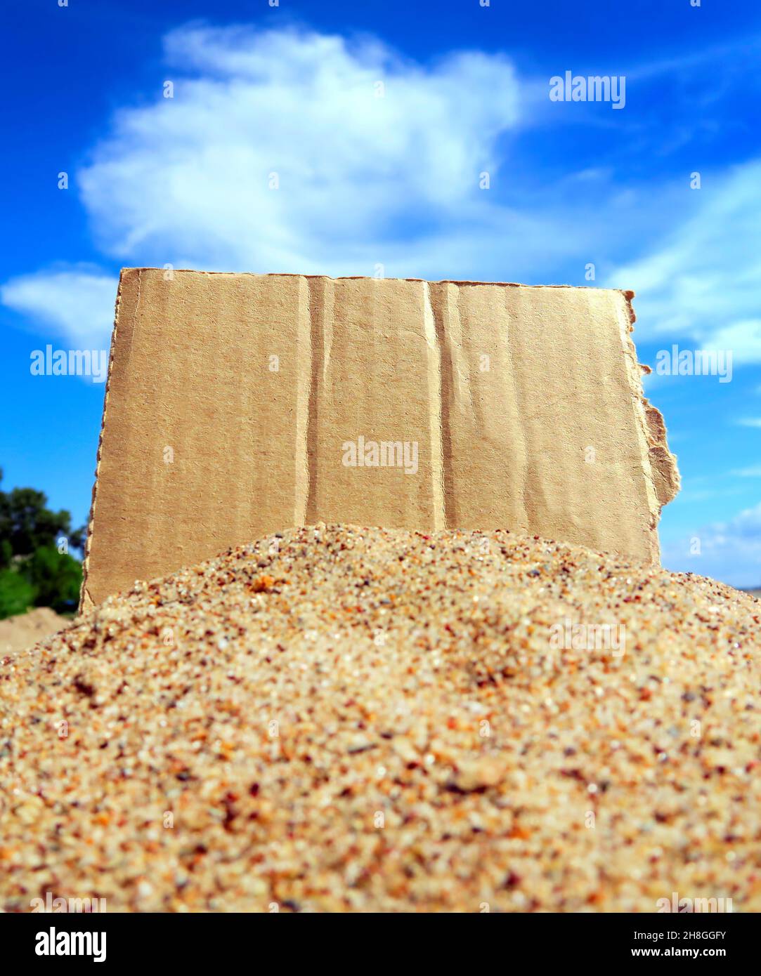 Cardboard in the Sand at the Summer Beach Stock Photo - Alamy
