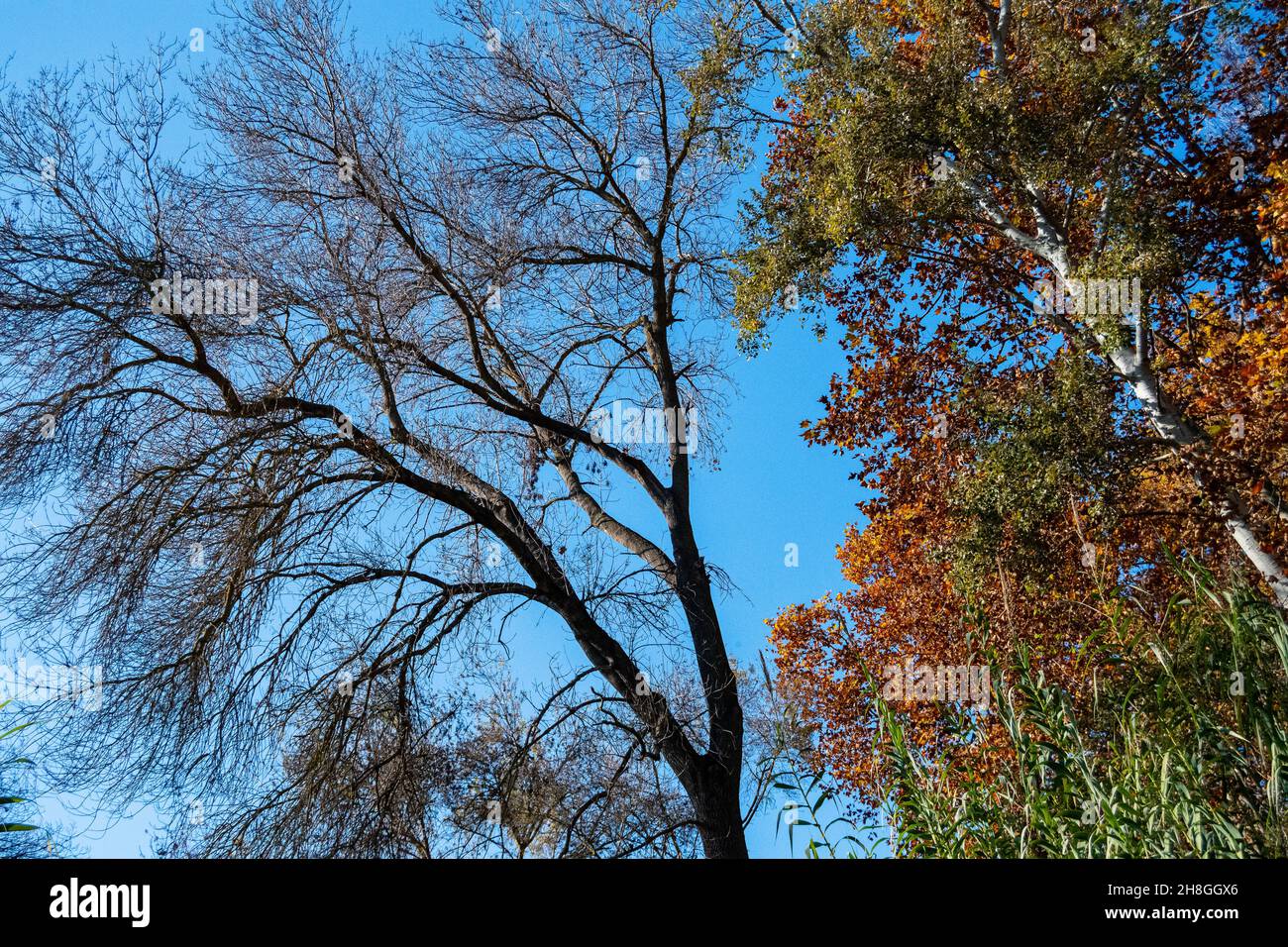 A walk through the rural landscapes between Brafim and Montferri ...