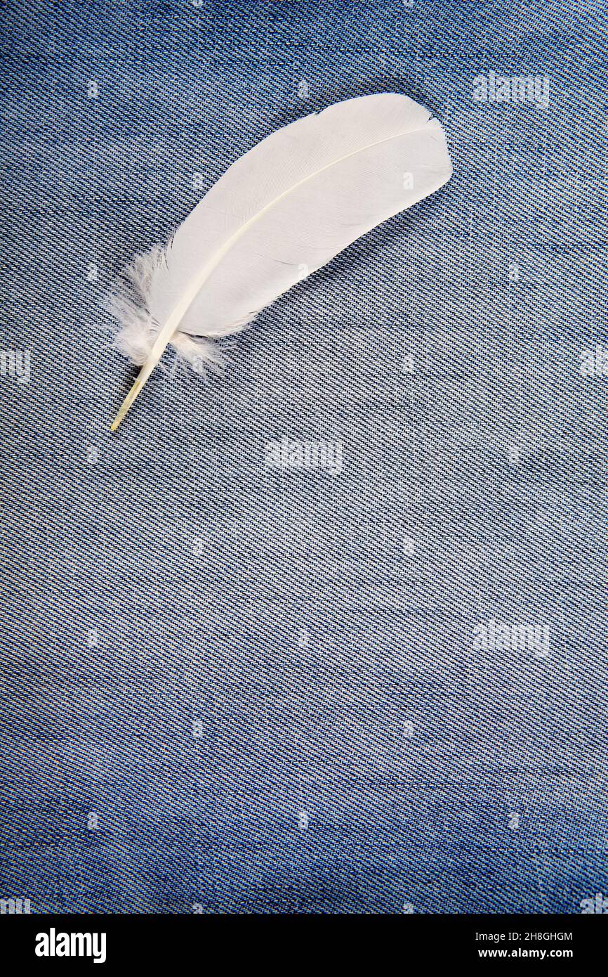 White Feather on Denim Textile Background Stock Photo - Alamy
