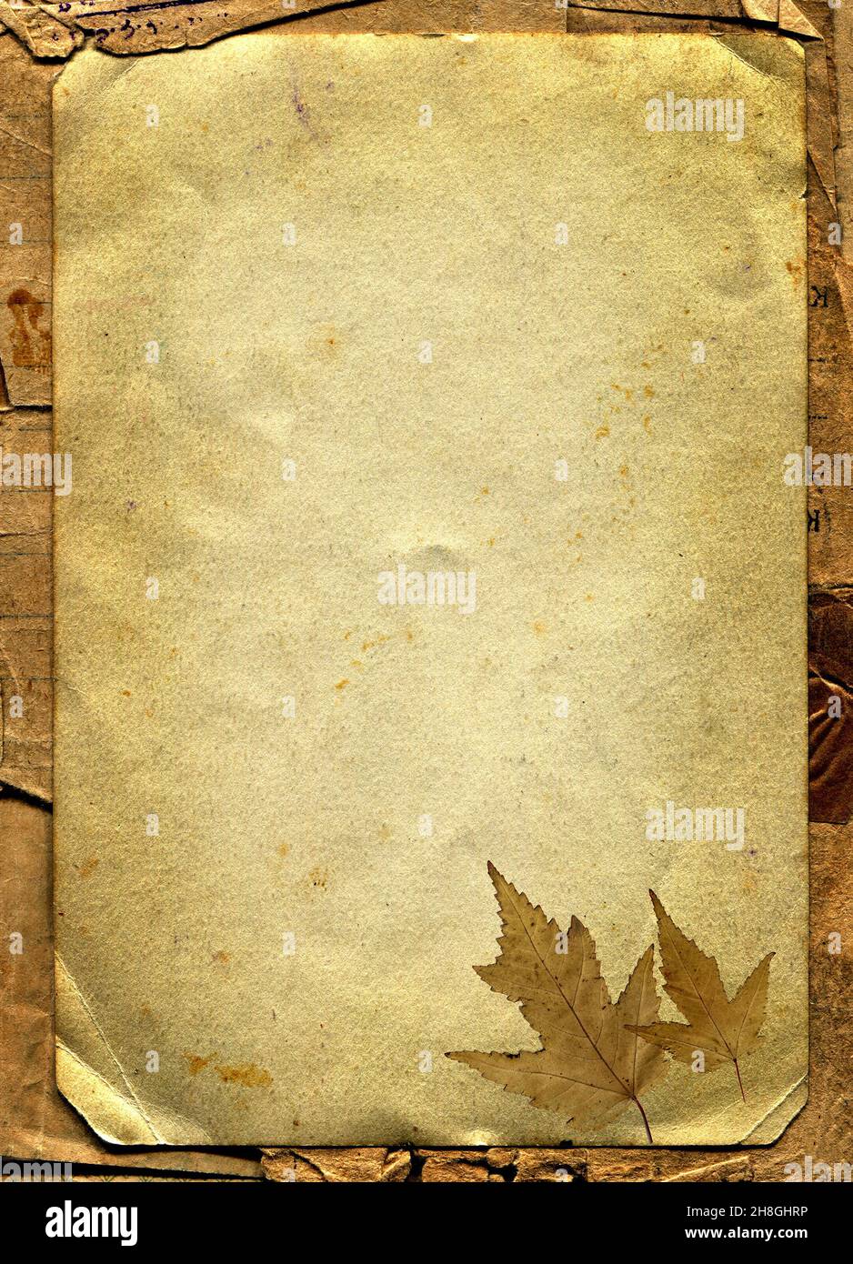 Autumnal Leaf on the Old Paper Background Stock Photo - Alamy