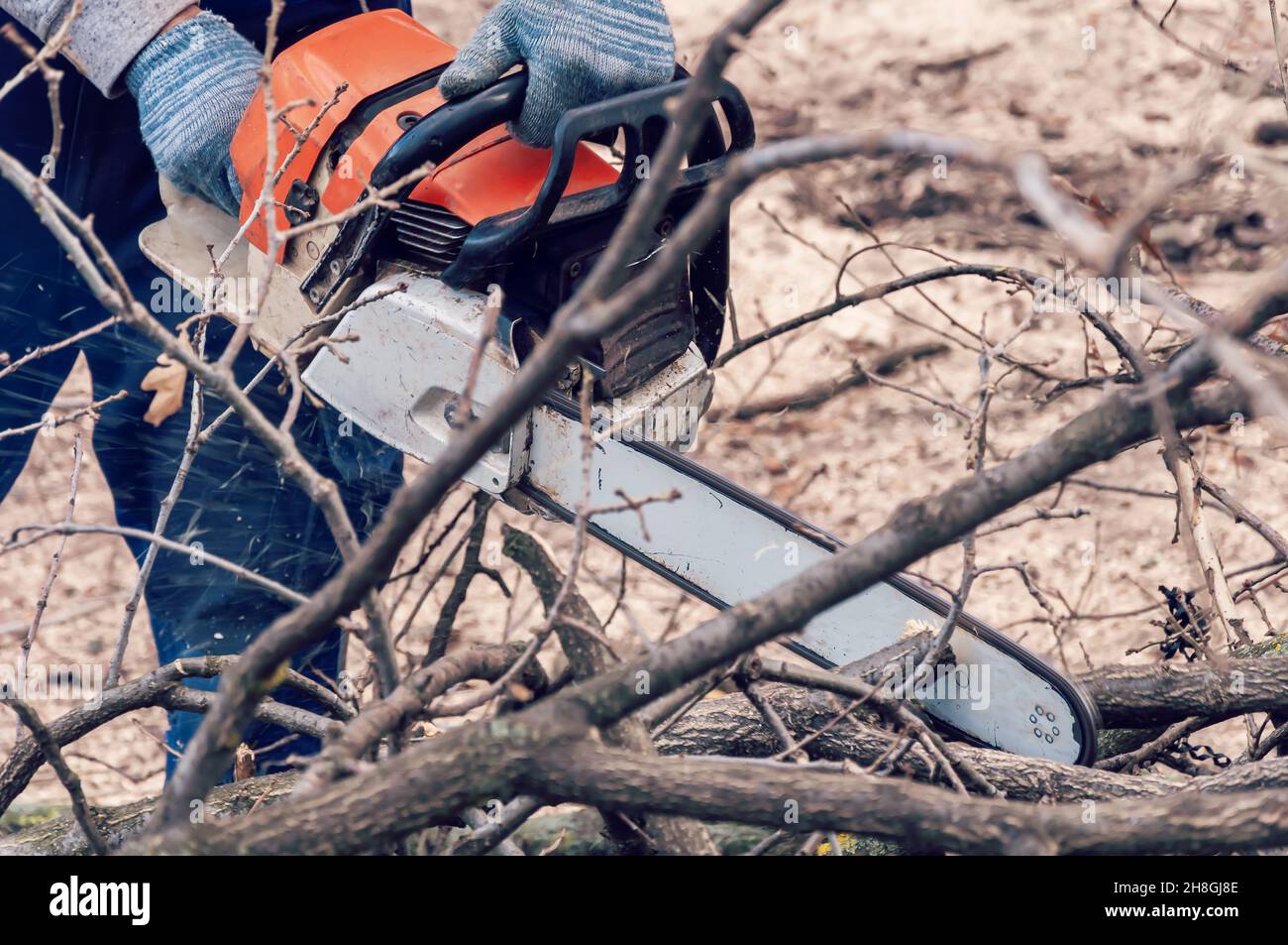Old man cutting log hi-res stock photography and images - Alamy