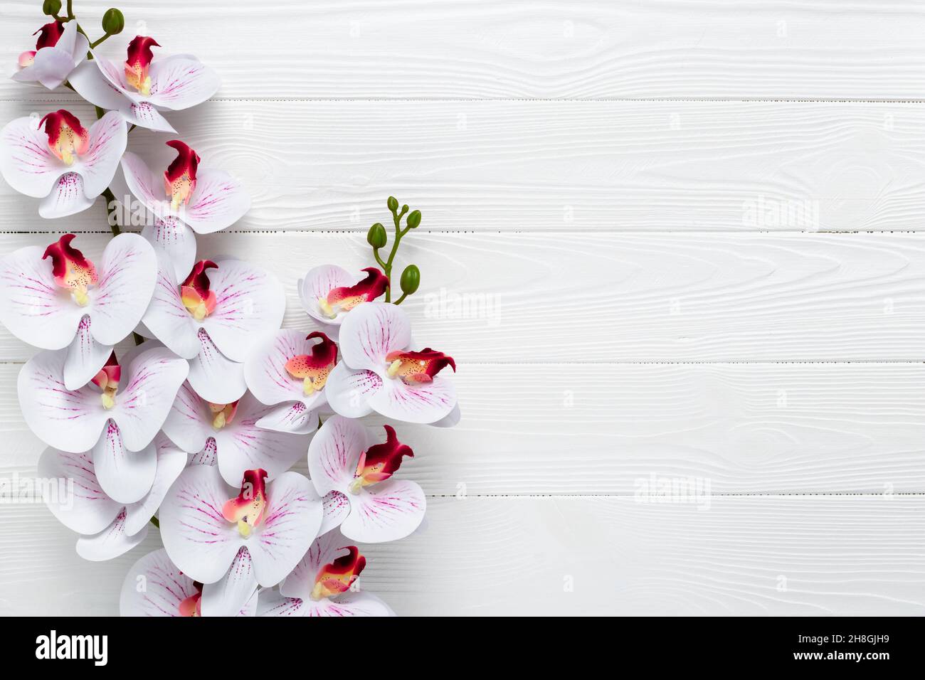 White orchid flowers on a wooden background. Floral frame border ...