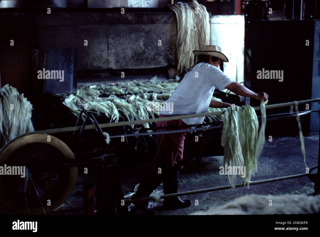 Uxmal, Mexico. 12/28/1985. Henequen process used for binding material ...