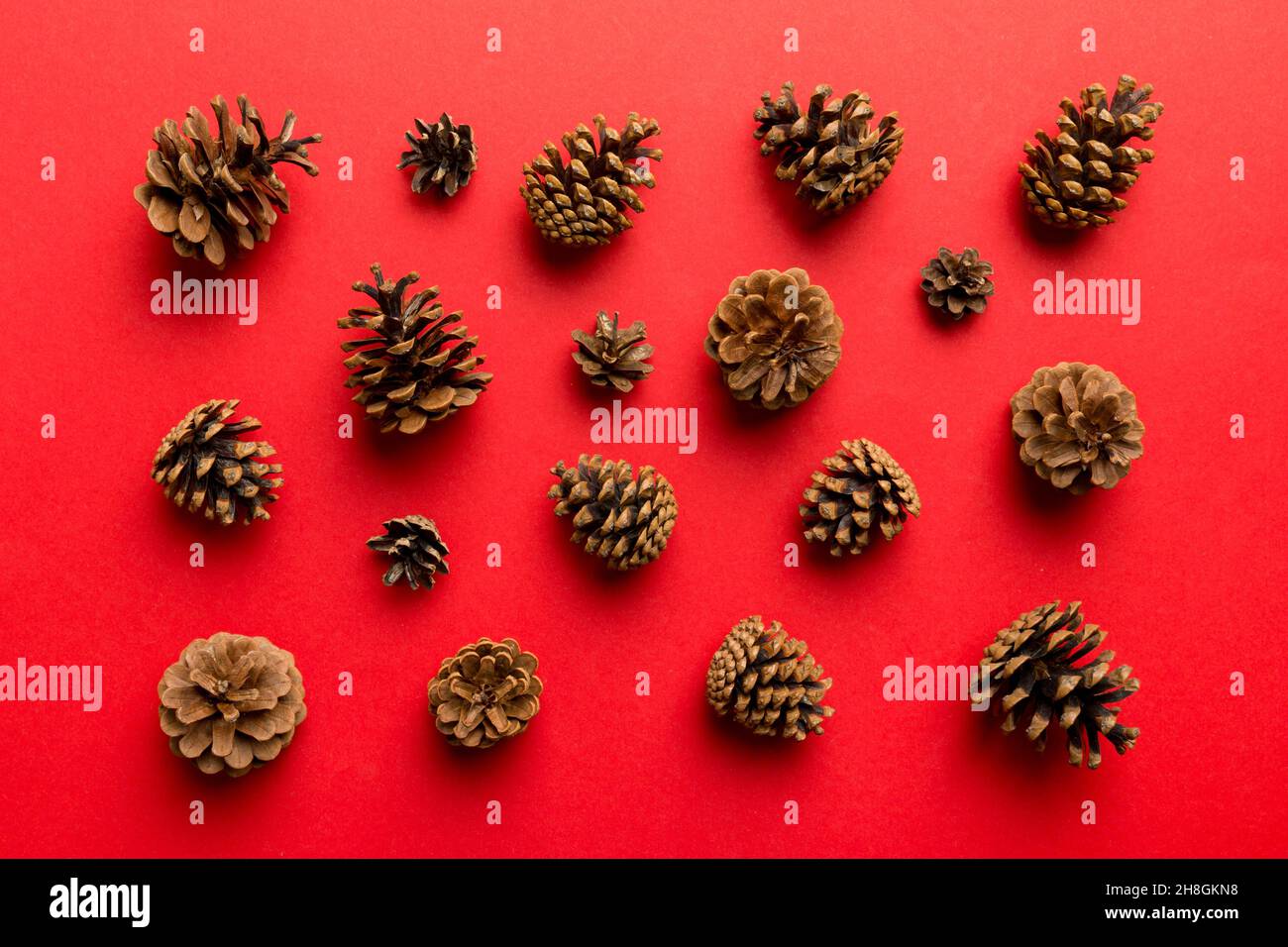 pine cones on colored table. natural holiday background with pinecones ...