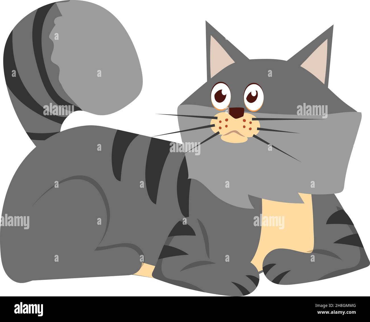 Cat back legs Cut Out Stock Images & Pictures - Alamy