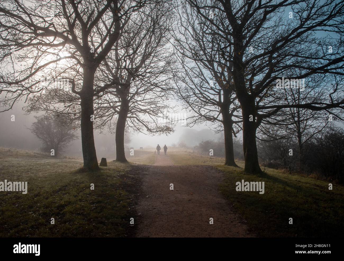Walk though woods hi-res stock photography and images - Alamy