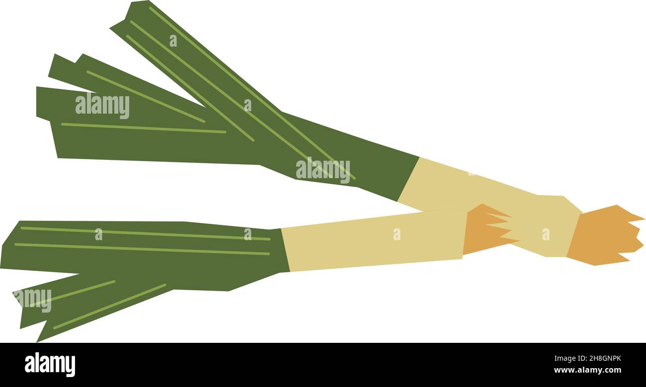 Welsh onion plant Stock Vector Images - Alamy