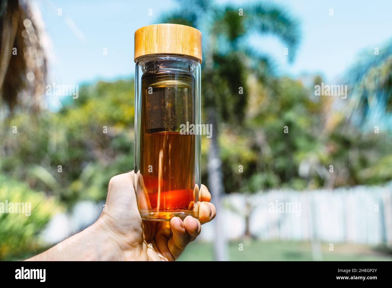 Hand holding a glass bottle of Guayusa tea in Gili Air, Indonesia Stock ...