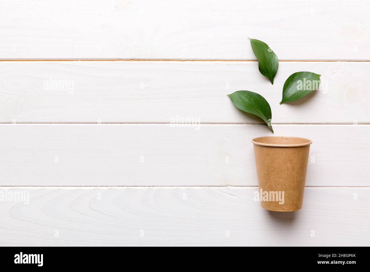 Zero waste cup with green leaf, environmentally friendly, disposable ...
