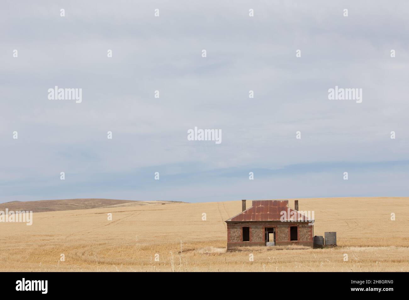 Farmhouse in the middle of a wheat farm Stock Photo - Alamy