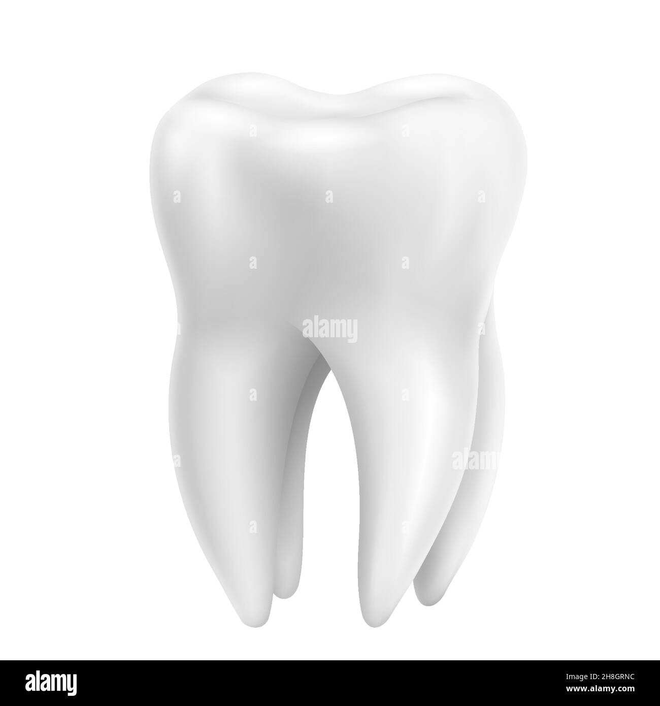 Tooth, realistic 3D vector isolated on white background. Dentistry ...