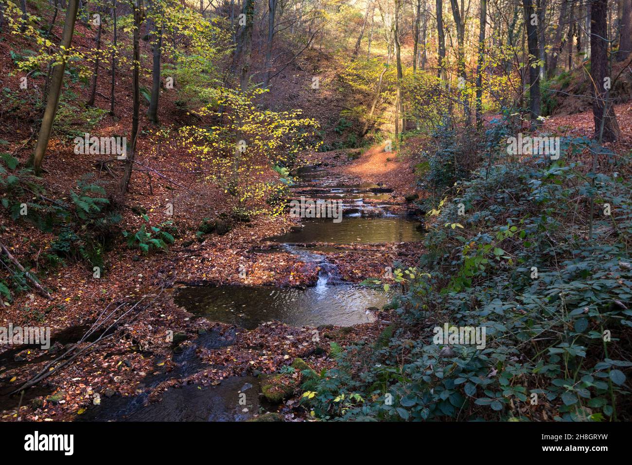 Percy beck hi-res stock photography and images - Alamy