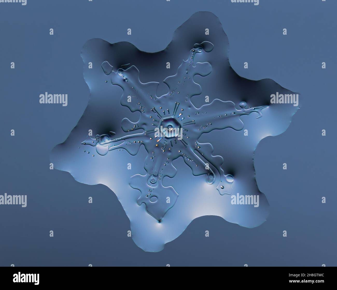 Melting snowflake on smooth gradient background. Macro photo of real ...