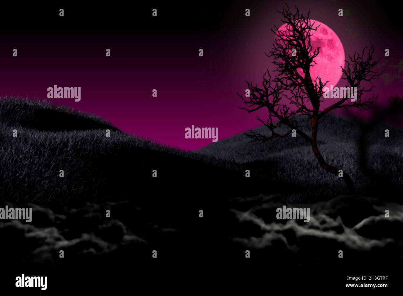 colorful creepy dark night backdrop - selective focus scary night ...