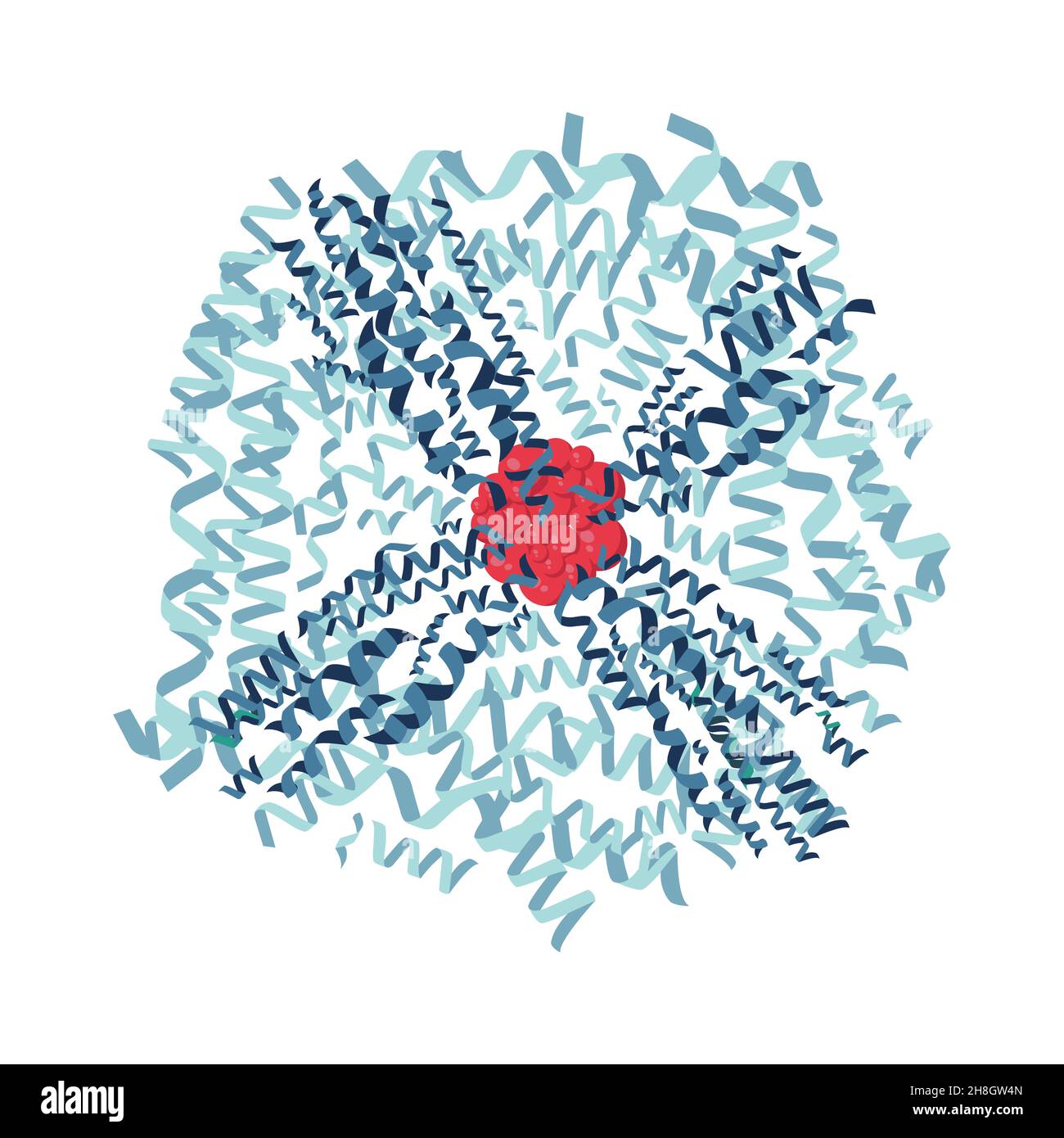 H ferritin hi-res stock photography and images - Alamy