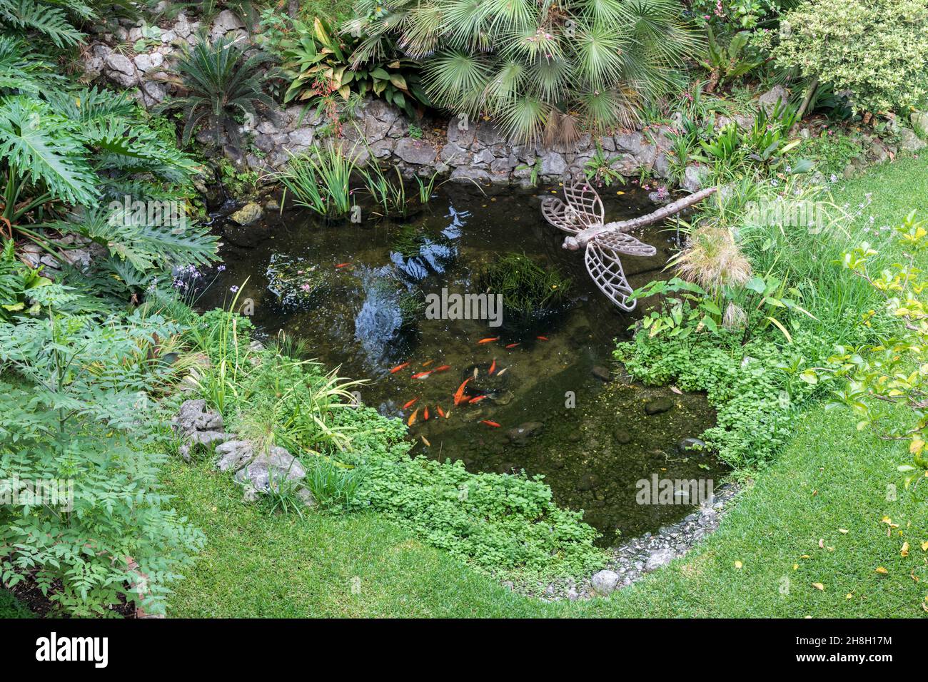 Dragonfly sculpture over pond with goldfish, Alameda botanic gardens ...
