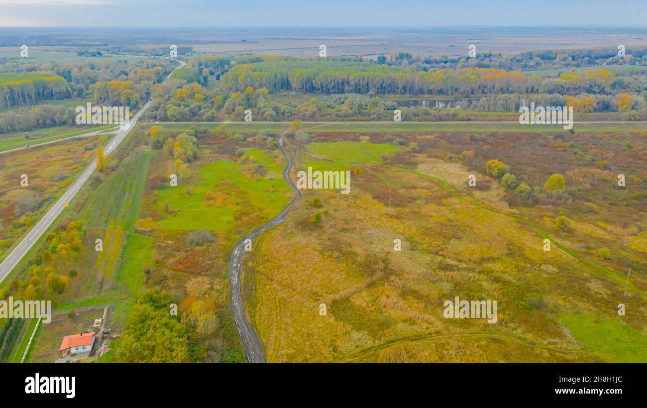 Above view, grassy landscape vegetation, forest plantation ...