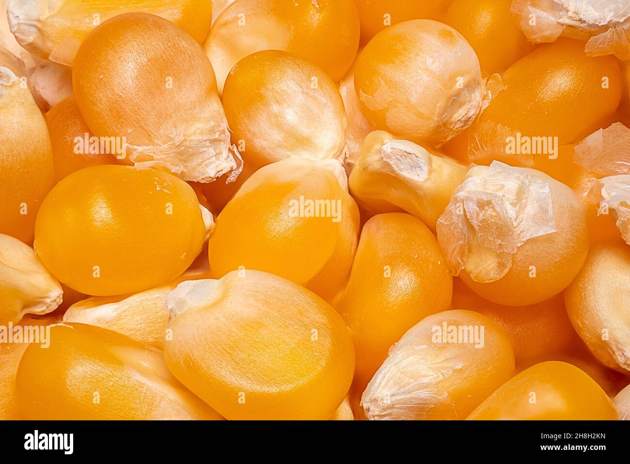 Sweet corn kernels food background Stock Photo - Alamy