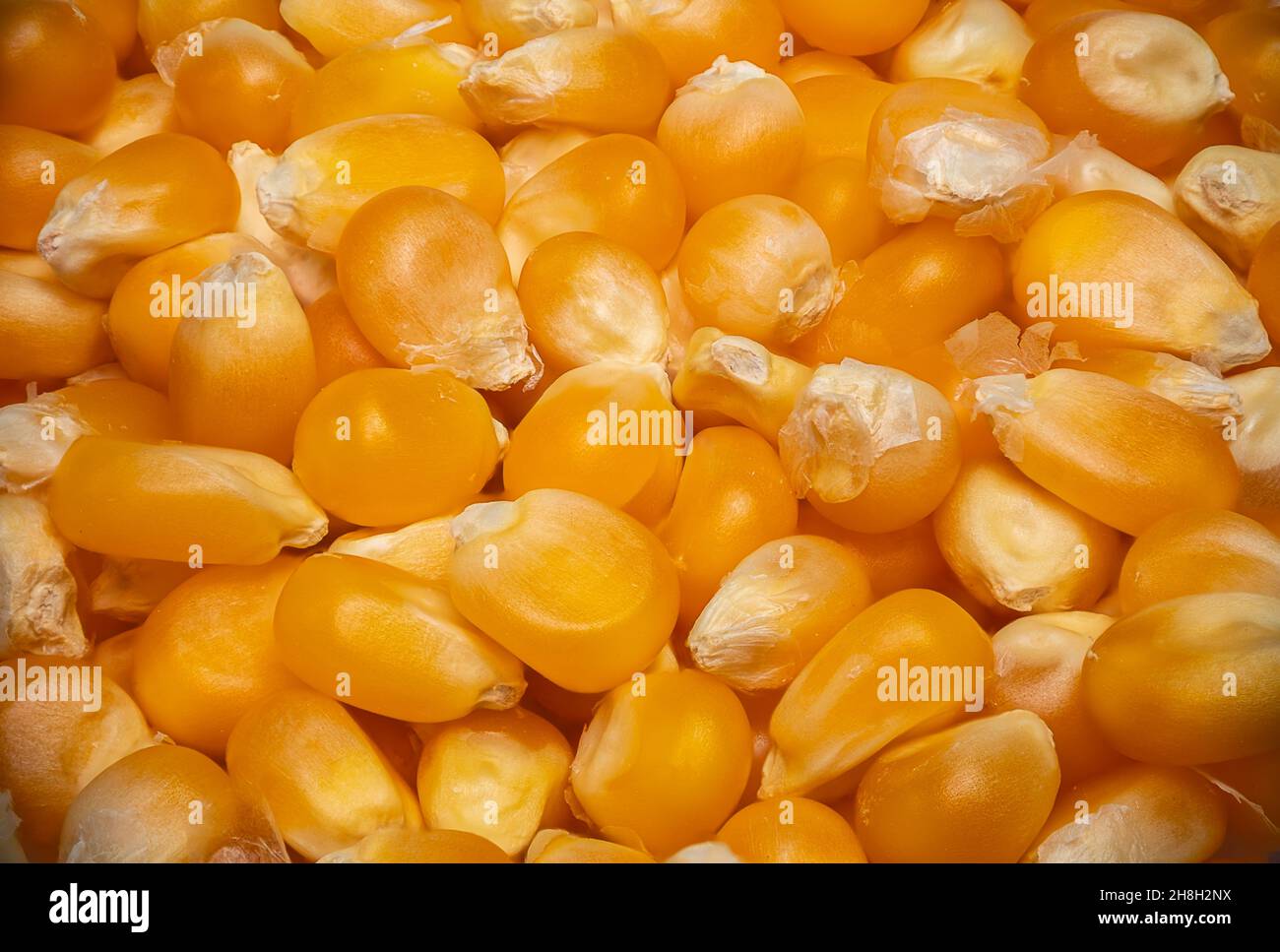 Sweet corn kernels food background Stock Photo - Alamy
