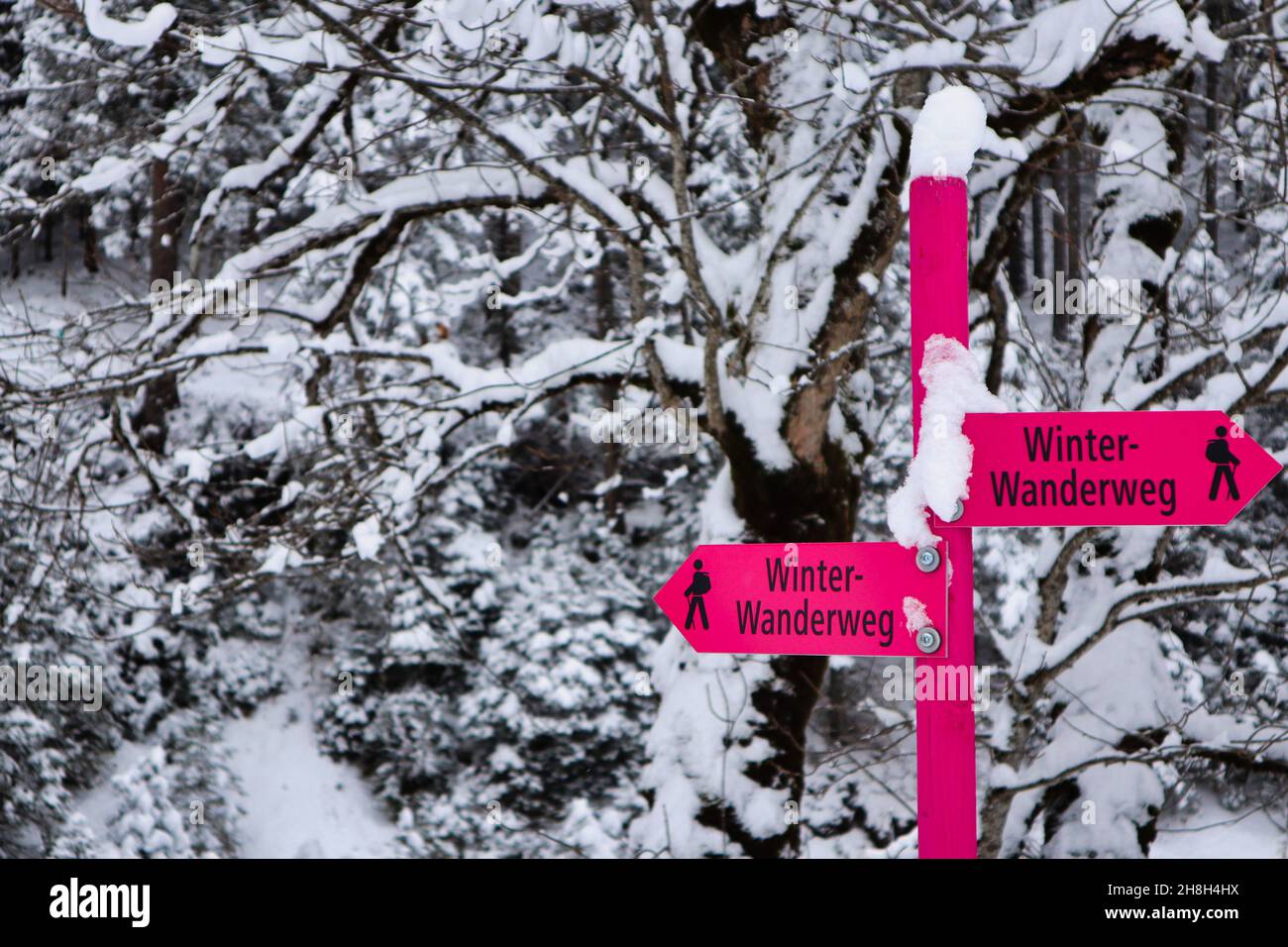 winter path sign in pink Stock Photo - Alamy