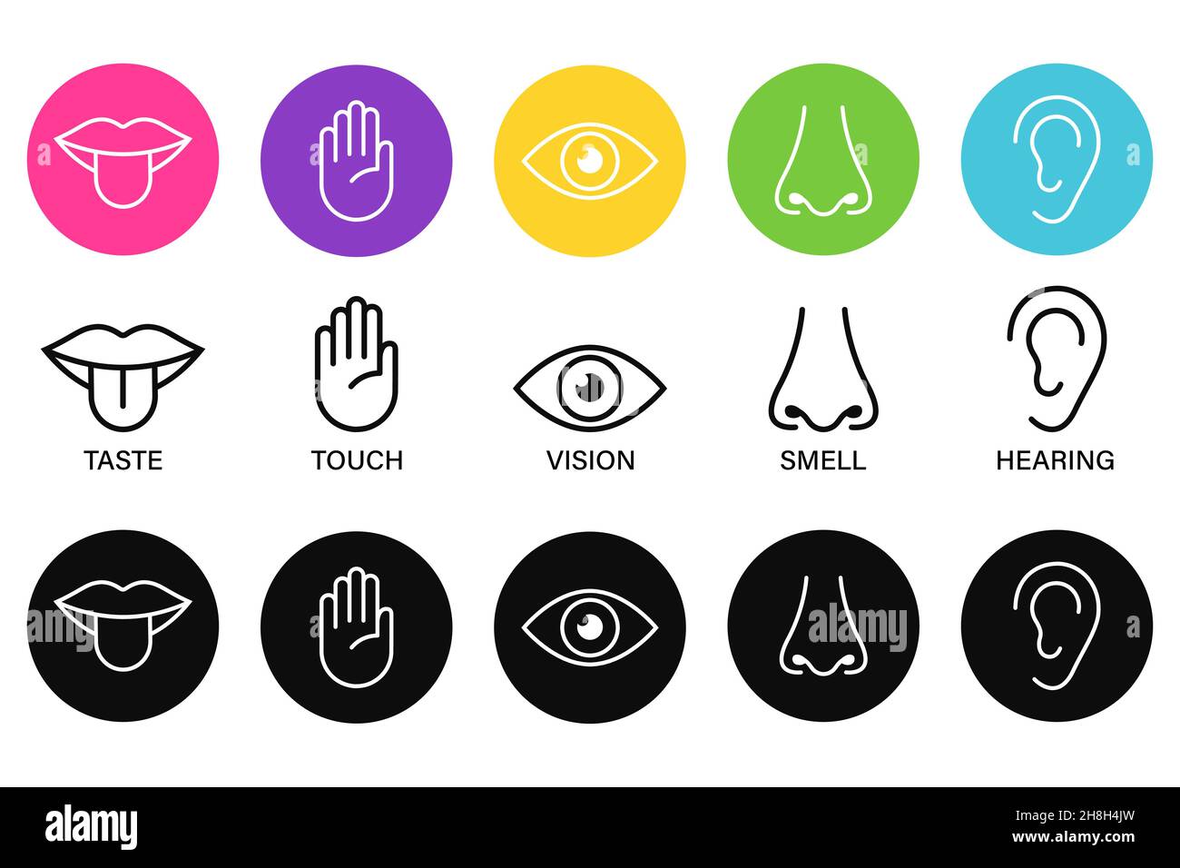 Five Senses Of Human Nervous System Icon Vector Illustration Simple