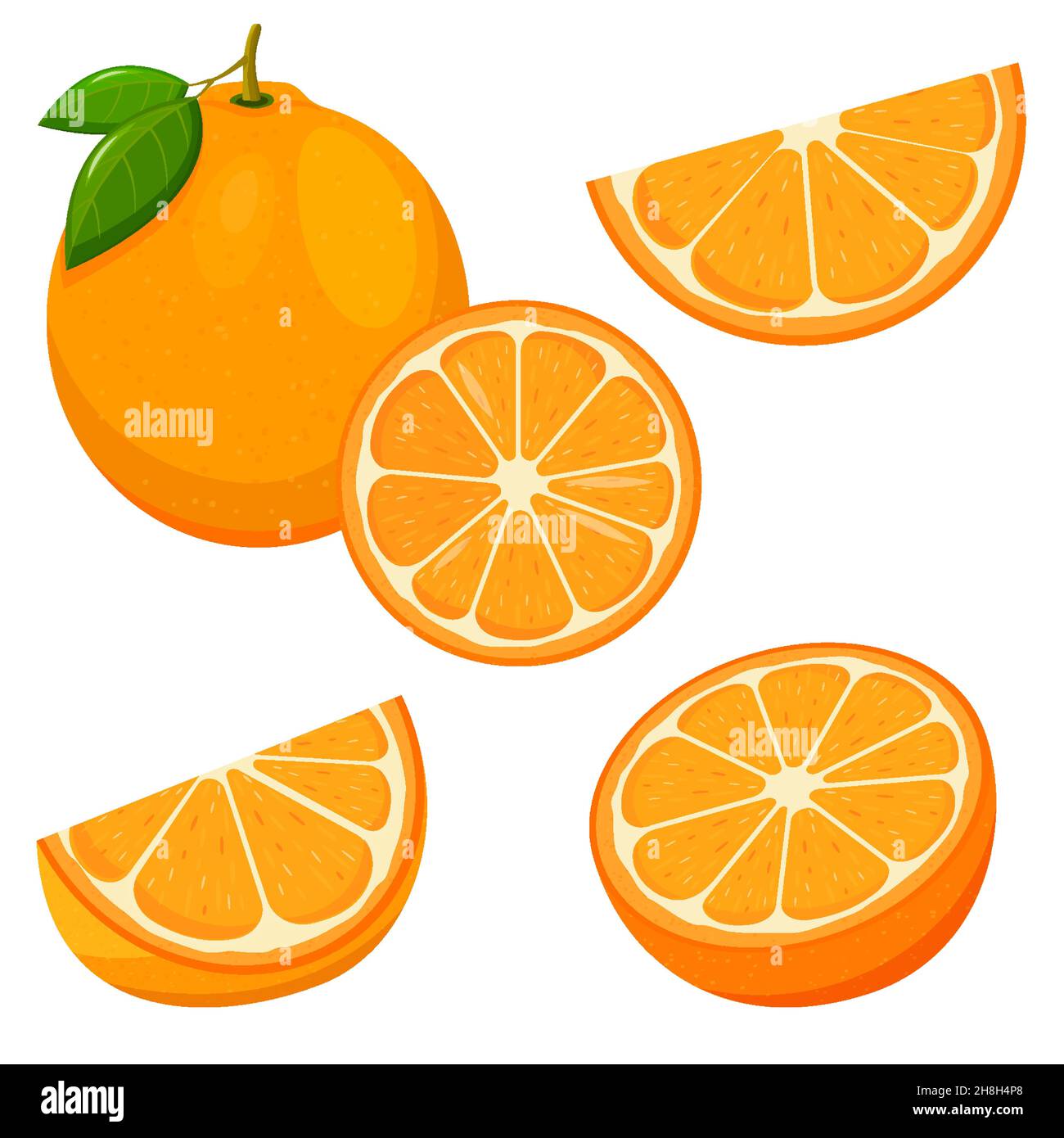 Half Orange Slice Vector