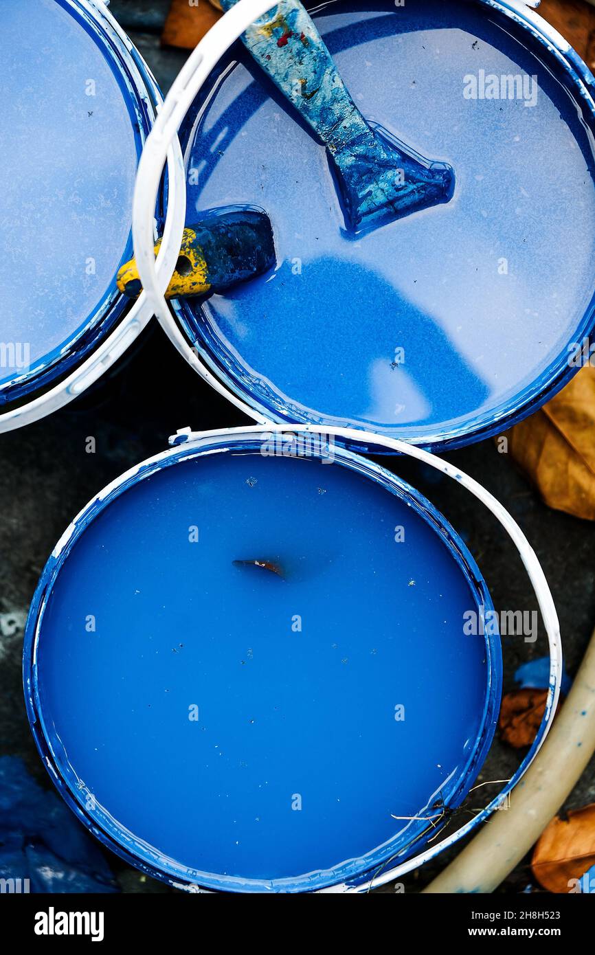 Top view of bucket with blue paint and brush Stock Photo - Alamy
