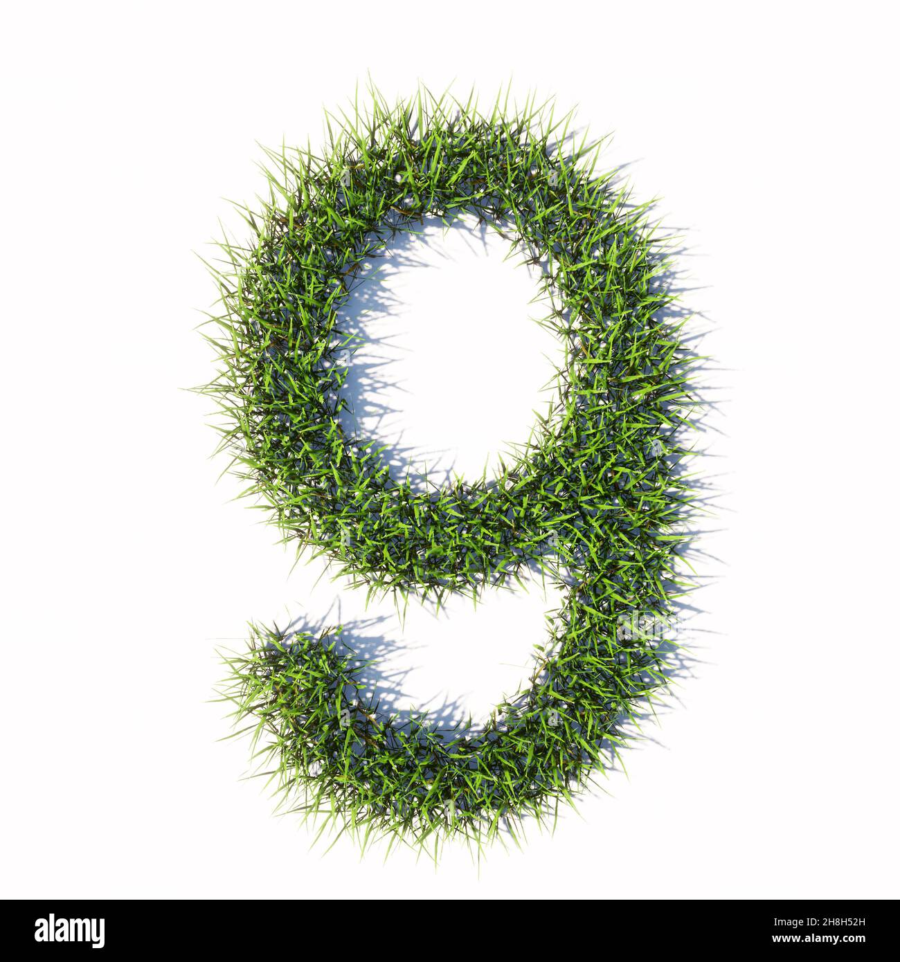 Concept or conceptual green summer lawn grass symbol isolated white ...