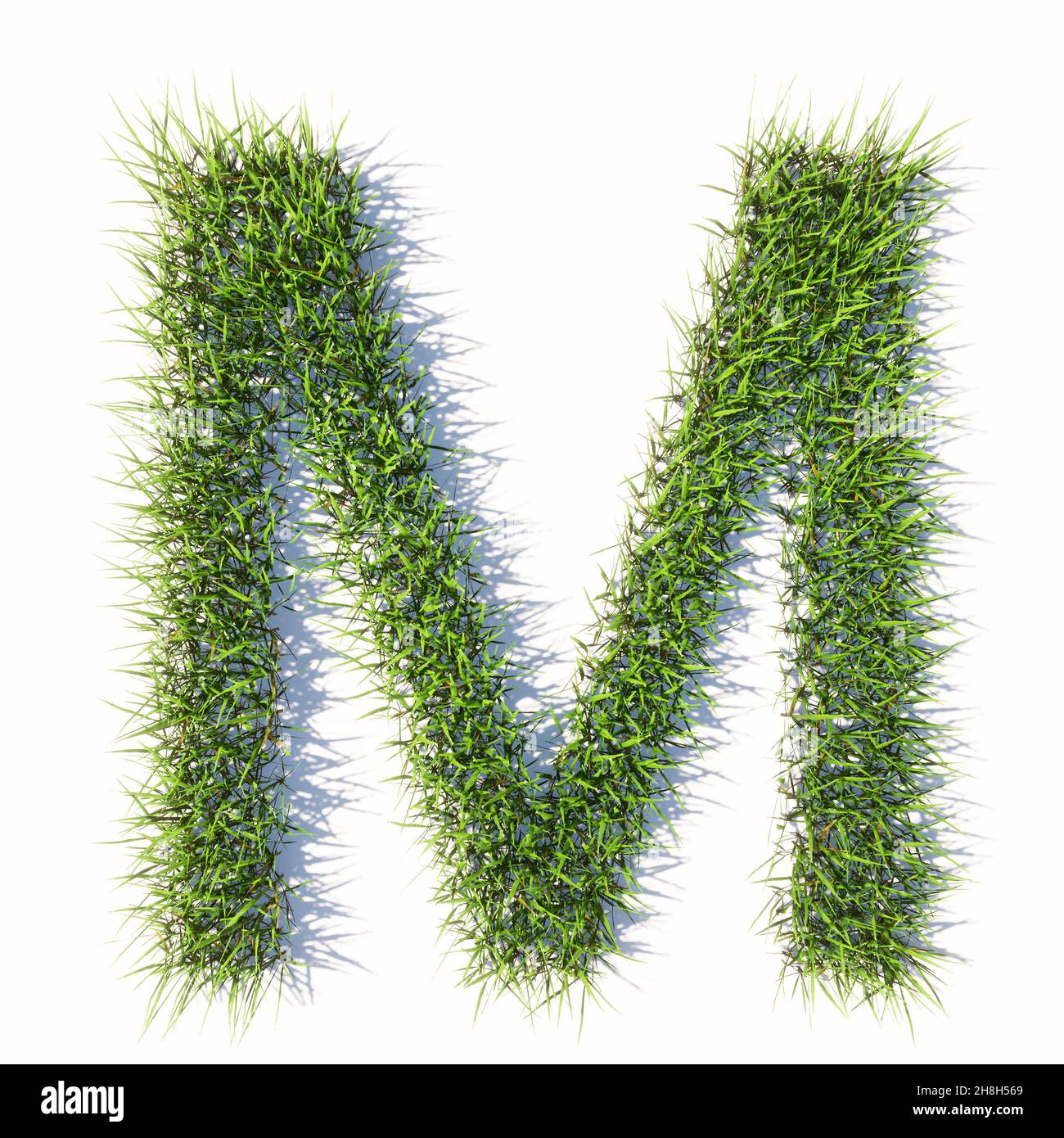 Letter M In Nature