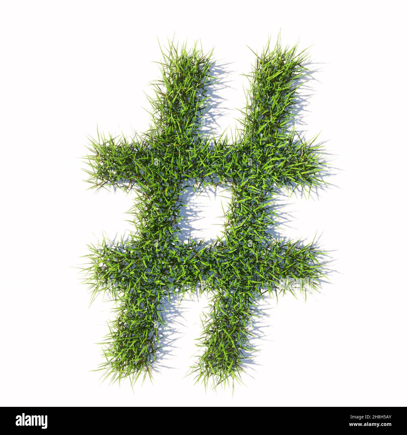 Concept or conceptual green summer lawn grass symbol isolated white ...