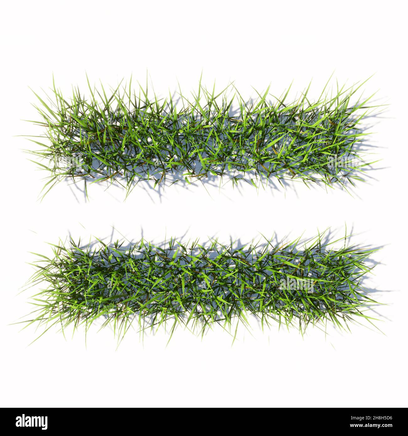 Concept or conceptual green summer lawn grass symbol isolated white ...