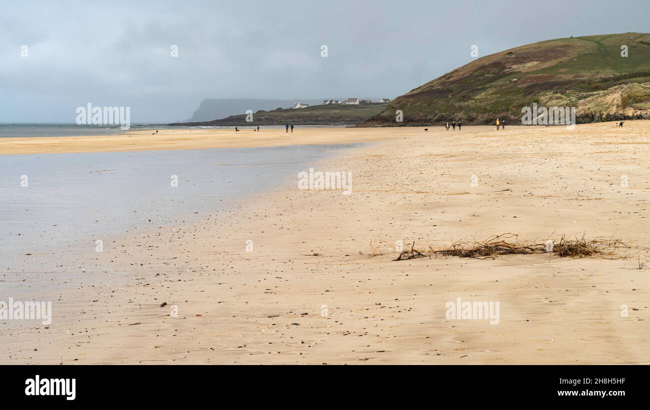 People and dogs strolling on a sandy bay in North Cornwall on a breezy ...