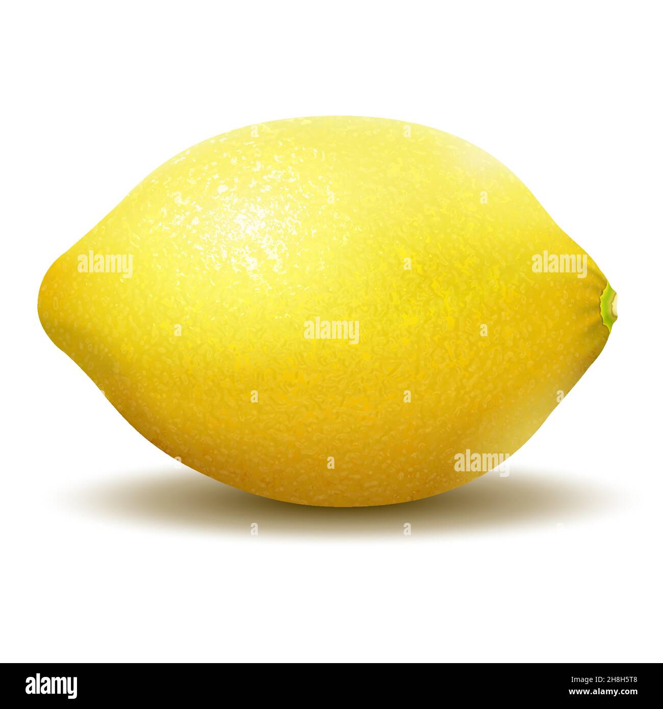 Lemon. Realistic vector illustration of a lemon on white background ...