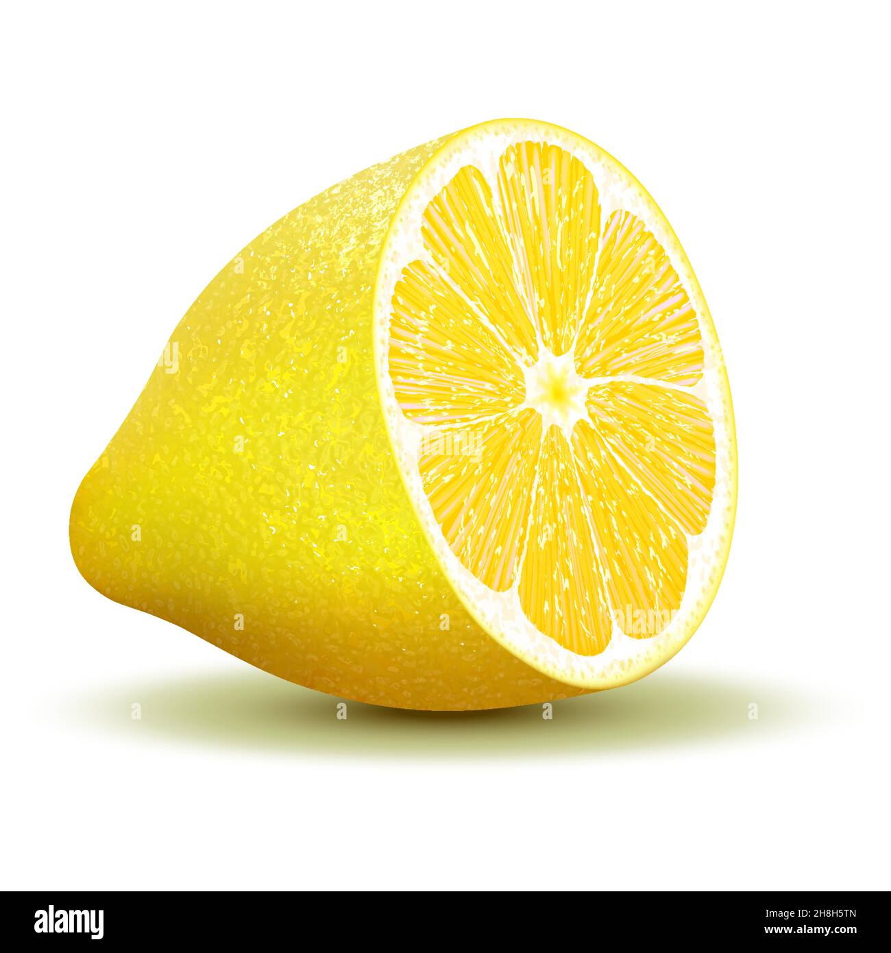 Fresh lemon: whole lemon and half lemon.. Vector illustration. Fully ...