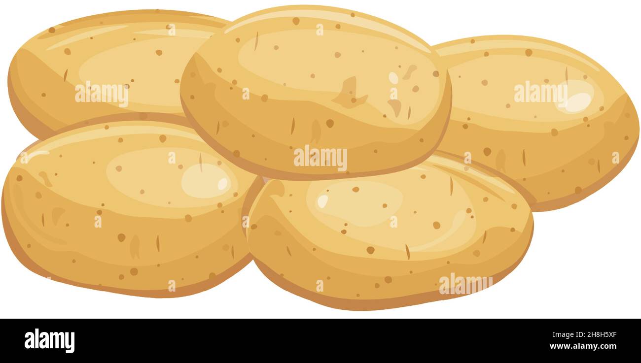 Pile of potatoes. Boiled baked or raw root golden yellow potato in peel ...