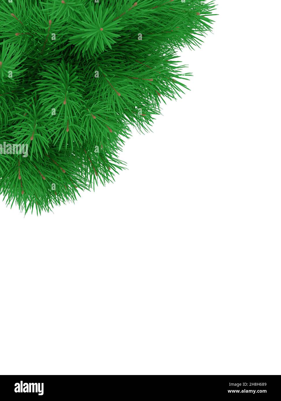 Christmas wreath of intertwined green and blue spruce branches in the ...