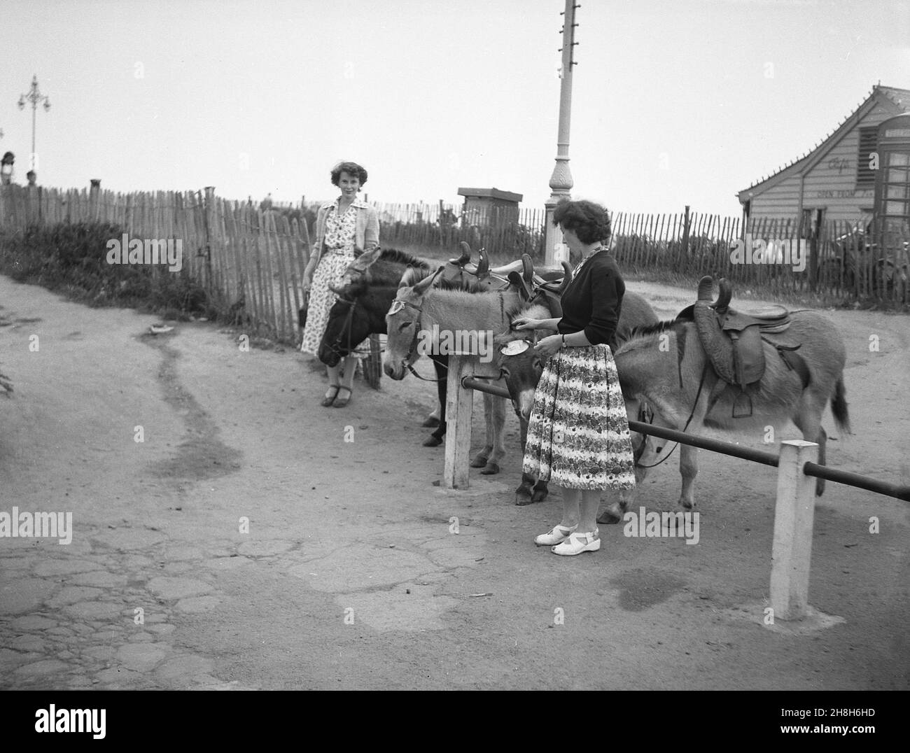 Seaside donkey rides historical hi-res stock photography and images - Alamy