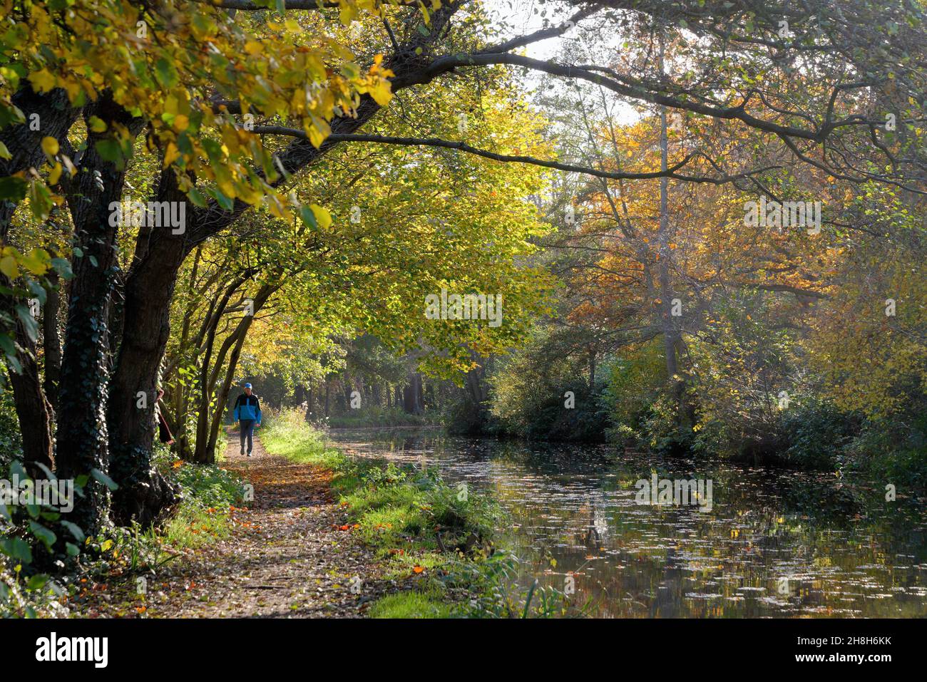 A single male figure walking along the towpath by the River Wey ...