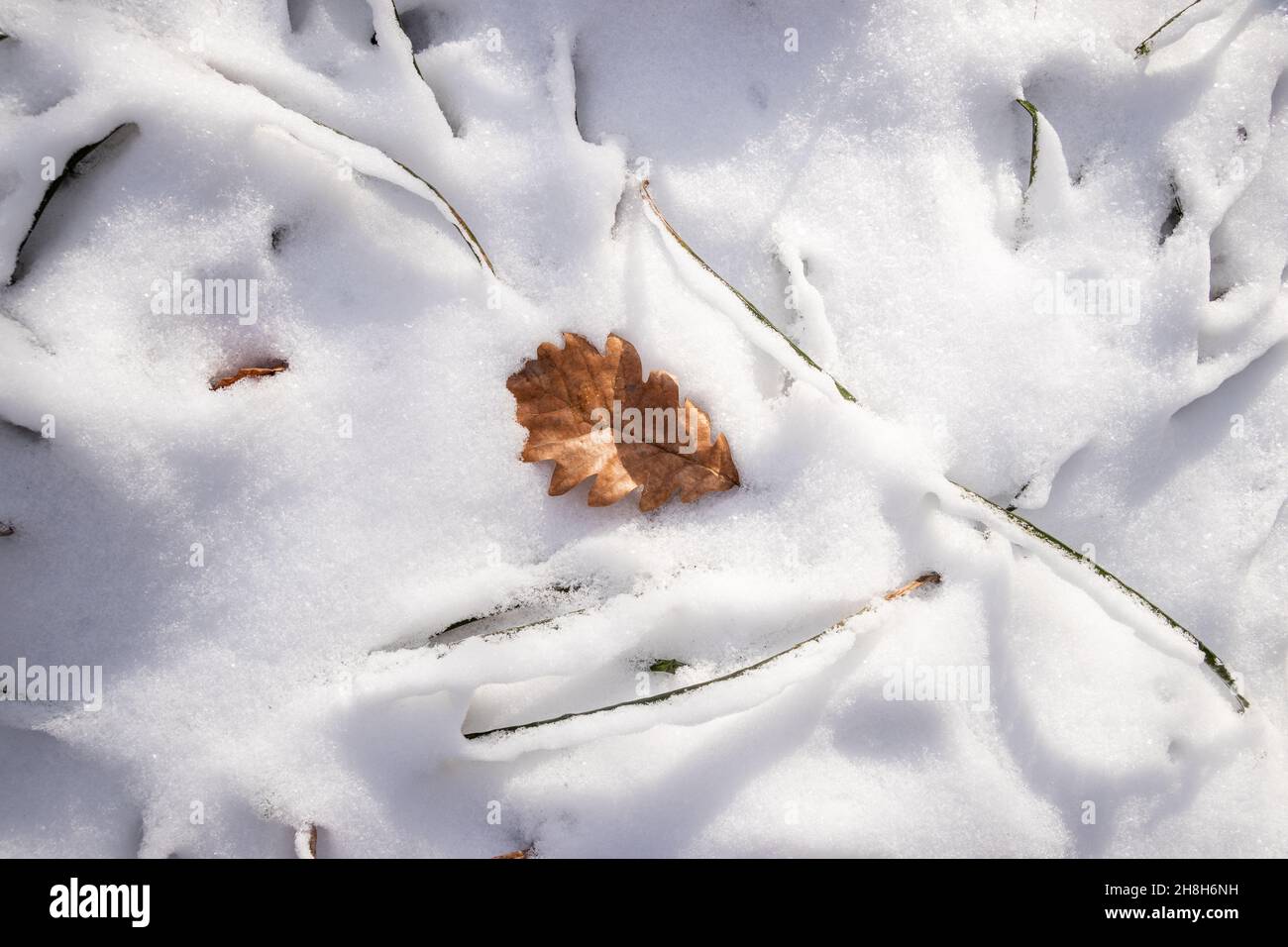 Weather change from autumn hi-res stock photography and images - Alamy