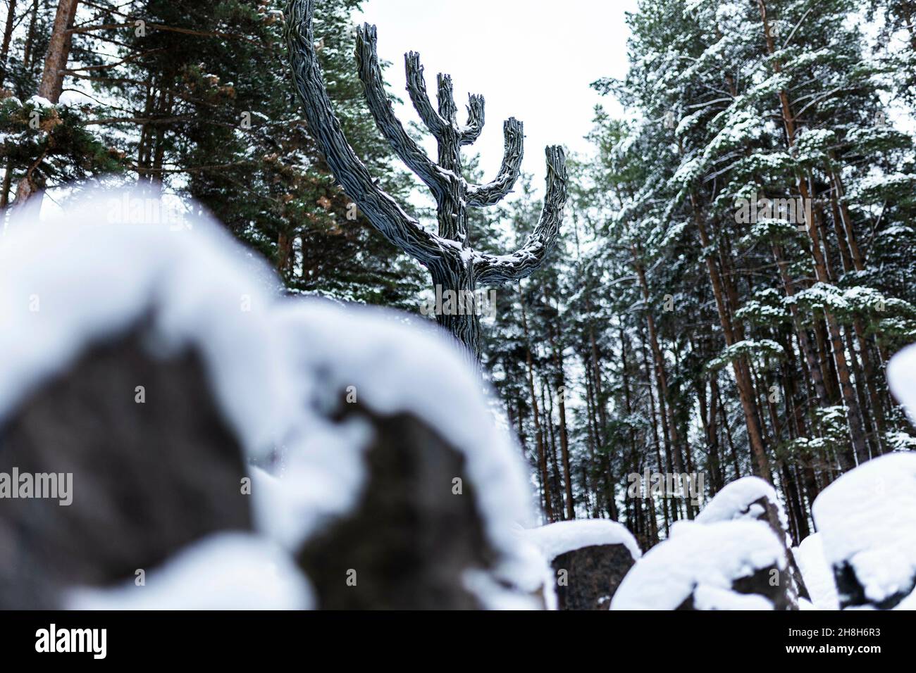 Commemoration event for the 80th anniversary of the Rumbula massacre in ...