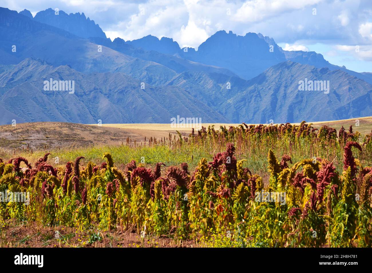 Andean region hi-res stock photography and images - Alamy