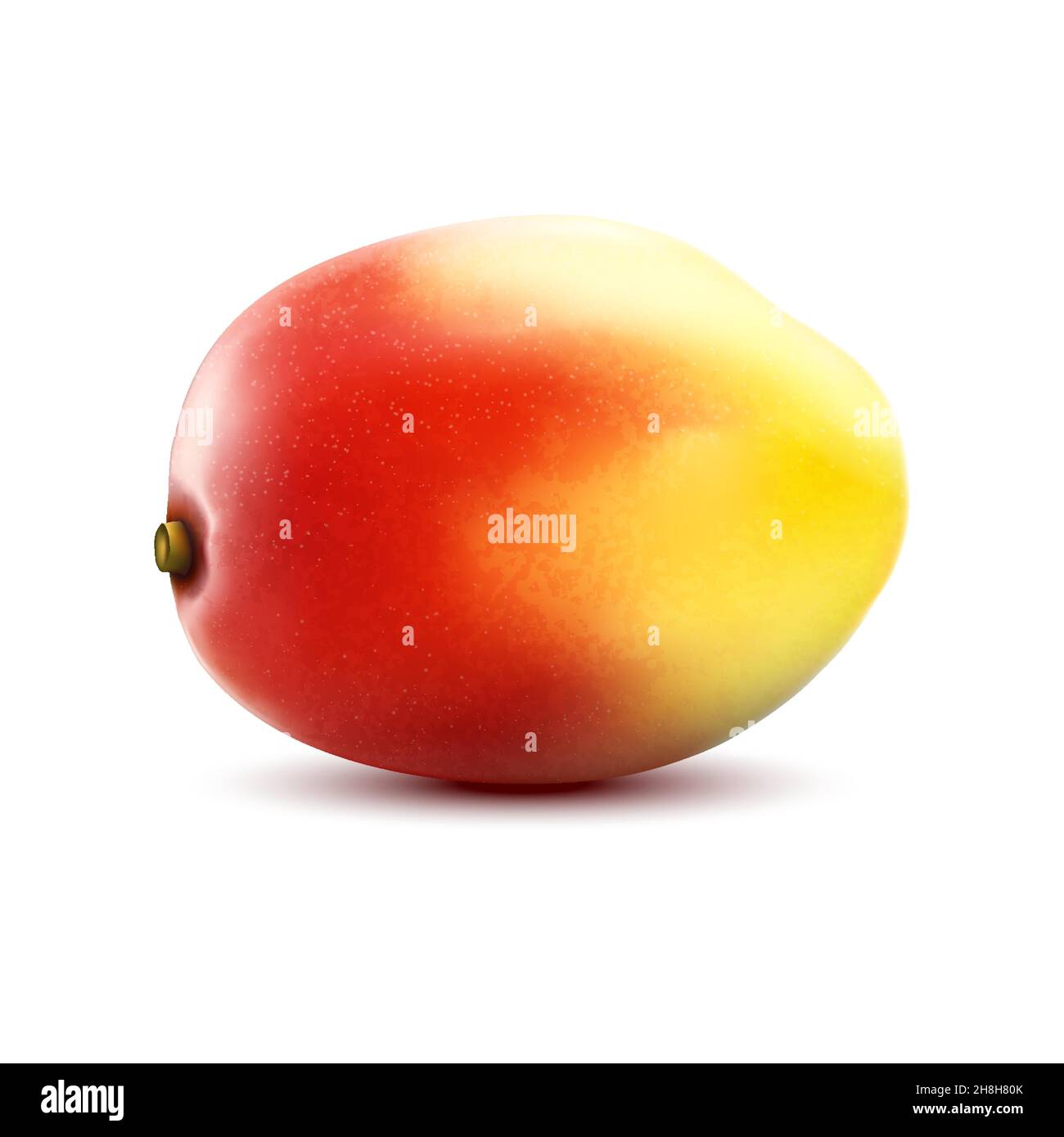 Mango. Mango fruits. Sweet fruits. 3d vector icons set. Realistic ...