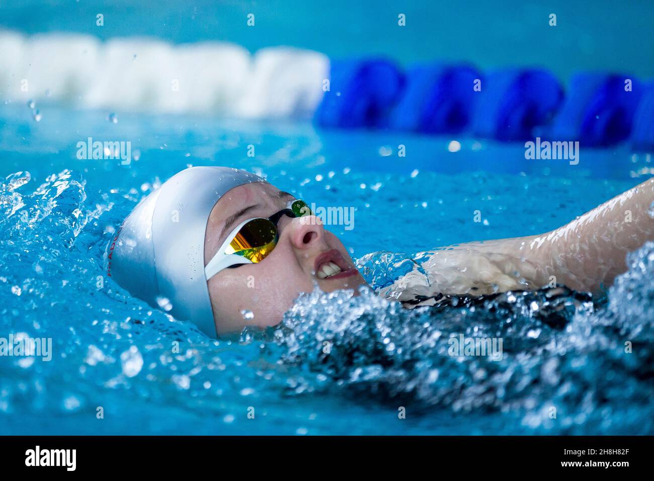 backstroke swimmer in the swiming pool Stock Photo - Alamy