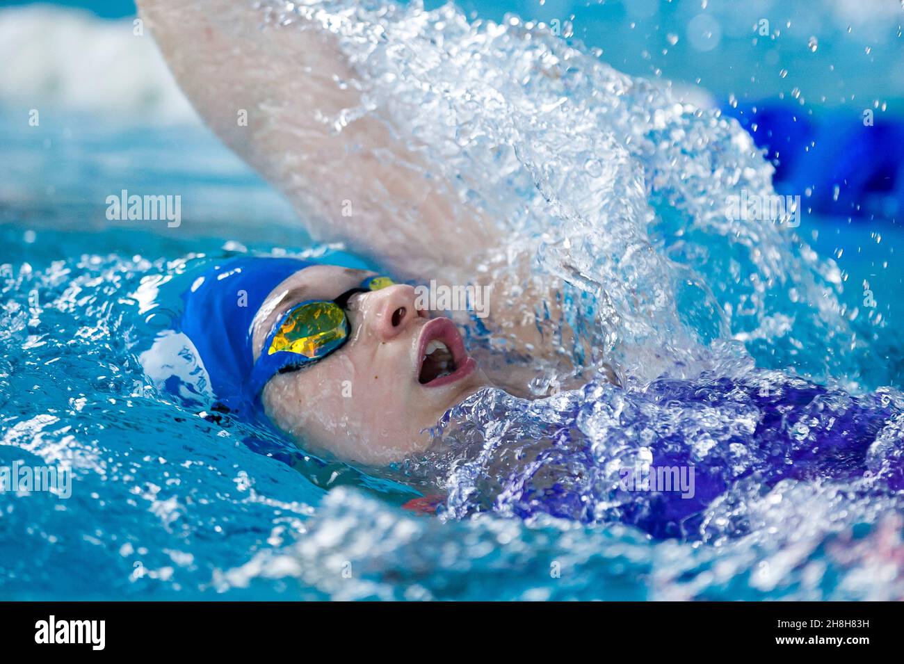 backstroke swimmer in the swiming pool Stock Photo - Alamy