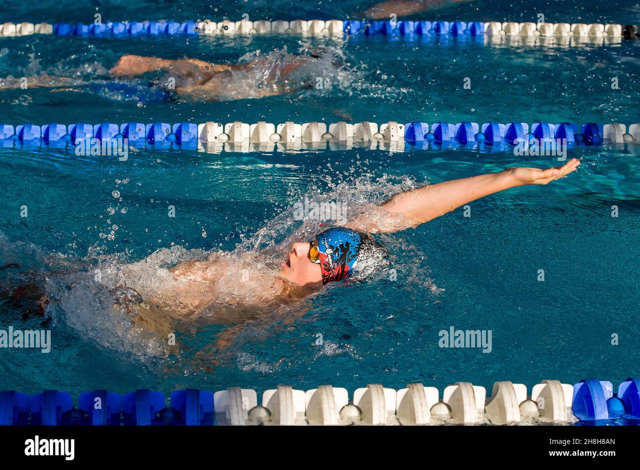 backstroke swimmer in the swiming pool Stock Photo - Alamy