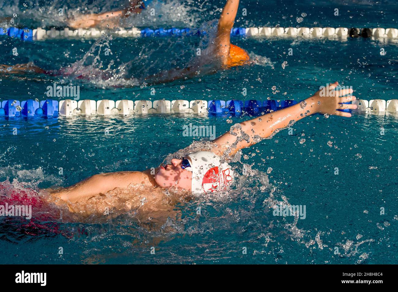 backstroke swimmer in the swiming pool Stock Photo - Alamy